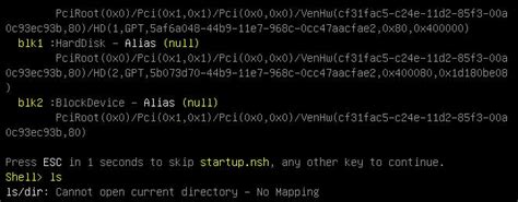 Boots To Efi Shell Safe To Try Reinstalling Freenas Where To Start