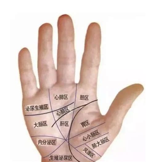 搜狗图片搜索