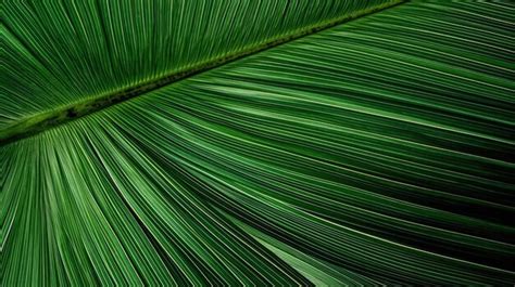 Premium Ai Image A Close Up View Of A Green Leaf