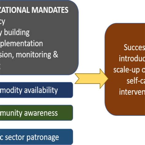 Conceptual Framework For Exploring Partners Contribution To Sexual And Download Scientific