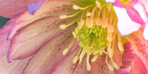 figuring out where a message arrived and other syslog ng 3 27 tricks blog syslog ng