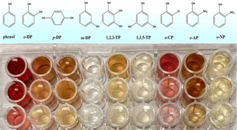 Schematic Presentation Of A Simple And Sensitive Colorimetric Strategy Download Scientific