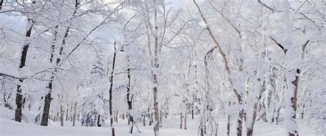 青森 雪景色 ハンドメイドガラスの伝統工芸品「津軽びいどろ」