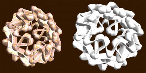무료 이미지 손 추상 구조 조직 무늬 인간의 몸 삽화 디자인 대칭 뇌 3d 그래픽 오르간 모양 큰 쇠시리 수학자 Cg