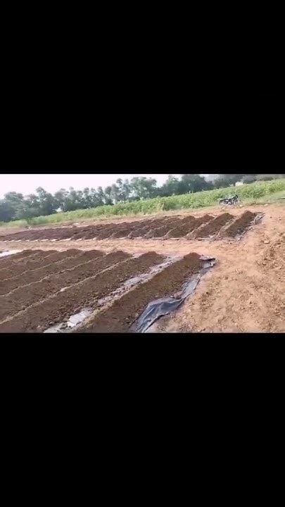 Vermicompost Unit Vermicompost Vermicomposting Organicfarming Indianfarmer Farming Youtube