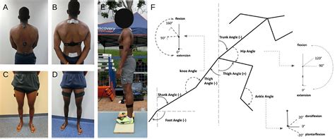 Inter And Intra Limb Coordination During Initial Sprint Acceleration