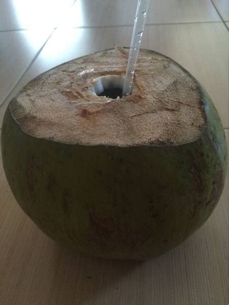 Bts Community Posts Yoon 전에 코코넛 물을 마신 적이 있습니까 그렇지 않은 경우 직원에게 녹색 코코넛 또는 어린 코코넛을 구입하도록 요청하십시오