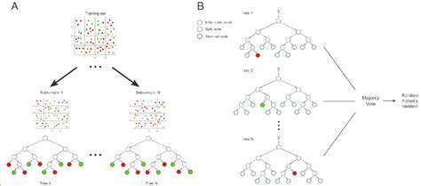 Random Forest Model Example Of Training And Classification Processes