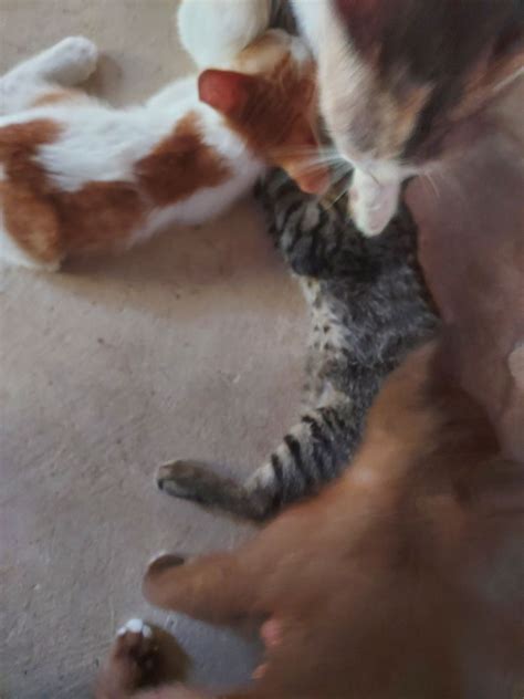 [kunrarat] Blog ที่ 31 20 07 22 เล่า 3 นาที เกี่ยวกับหนัง ละคร นิยาย การ์ตูน 2 เรื่องในแนว