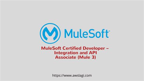 MuleSoft Certified Developer Integration And API Associate Mule Actual Exam