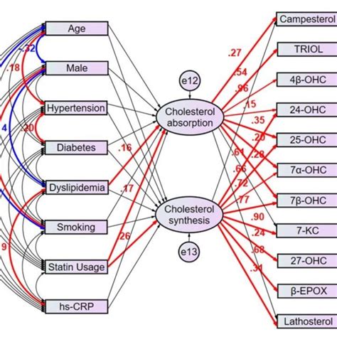 Proposed Path Model This Path Has A Coefficient Showing The Download Scientific Diagram