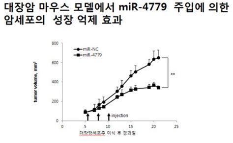 새로운 대장암 치료제 개발 가능성 제시