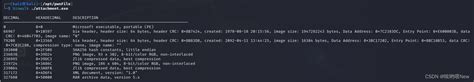 Ctf题集【buuctf Misc】 Swpu2019 我有一只马里奥 Csdn博客