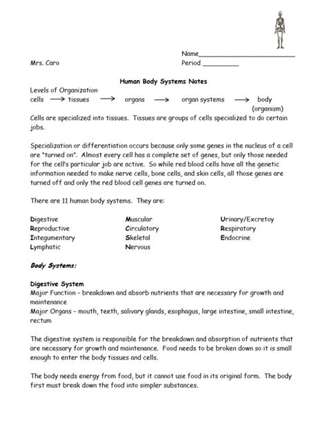 Human Body Systems Notes With All Body System Notes Filled In Pdf
