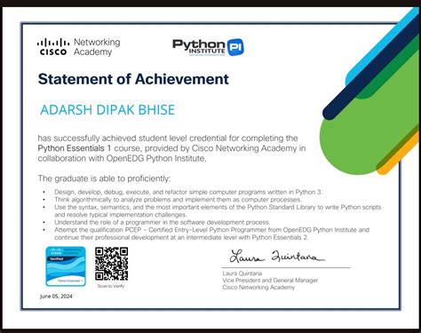 Python Cisconetworkingacademy Programming Learning Achievement