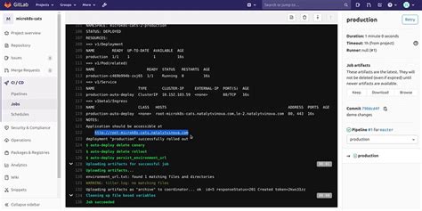 Gitlab Cicd Pipelines With Microk8s Ubuntu