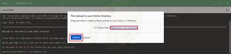 delete inactive users from oci iam identity domains based on userstatus