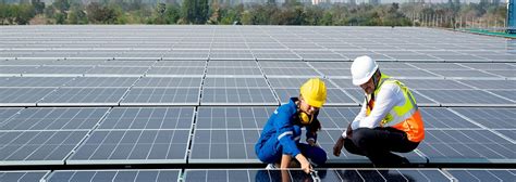 Infosys Knowledge Institute A Carbon Offset Program That Is Good For Company And Planet