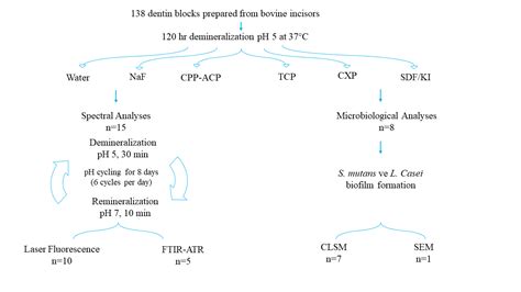 In Vitro Evaluation Of The Effects Of Various Remineralization Agents On Root Caries Authorea