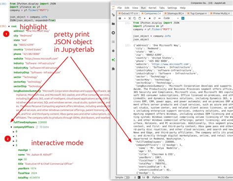 Pretty Json Formatting In Jupyterlab