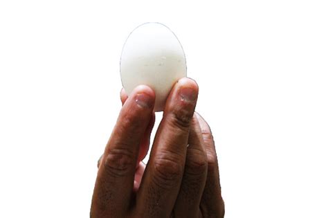 흰색 배경에 고립 된 흰색 계란을 들고 있는 남자 손 클리핑 경로 포함 건강관리와 의술에 대한 스톡 사진 및 기타 이미지 건강관리와 의술 건강한 생활방식 계절