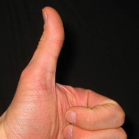 The Easy Programm Youtube