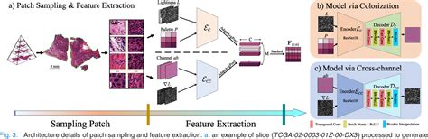 Figure 1 From Cancer Survival Prediction From Whole Slide Images With Self Supervised Learning