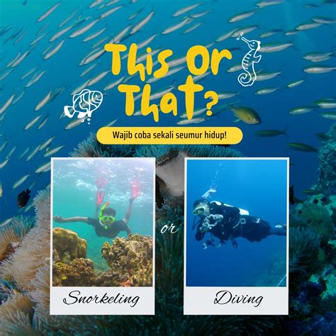 Snorkel Annotation At Janet Bailey Blog