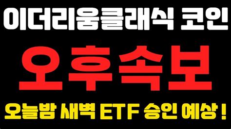 이더리움클래식코인 오후속보 오늘밤 새벽 Etf 승인 예상 불독코인프리세일코인시바이누코인리플이더리움도지코인