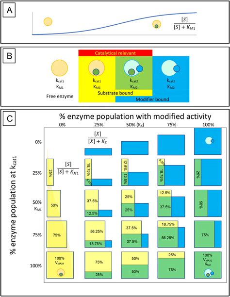 Enzyme Substrate Modifier Interactions A Enzyme Substrate Binding Download Scientific