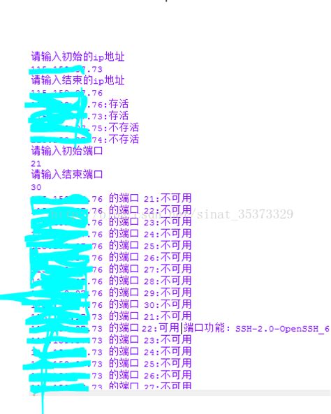 Java实现见得网络扫描器功能春日野兔的博客 Csdn博客