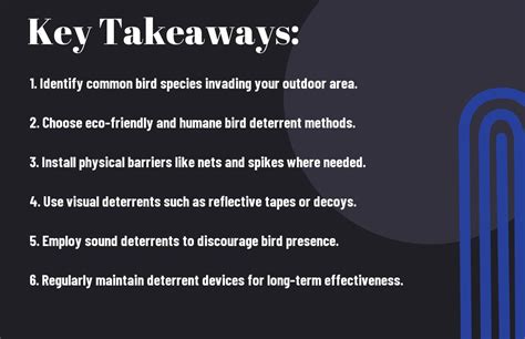 Transform Your Outdoor Space 10 Steps To Effective Bird Deterrent Services Green Machine