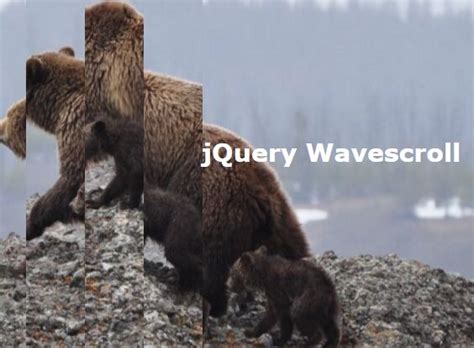 Draggable Background Slideshow With Jquery And Gsap Wavescroll Free Jquery Plugins
