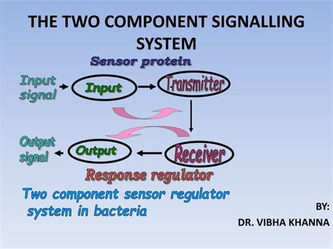 Horizontal Gene Transfer In Bacteria Pdf