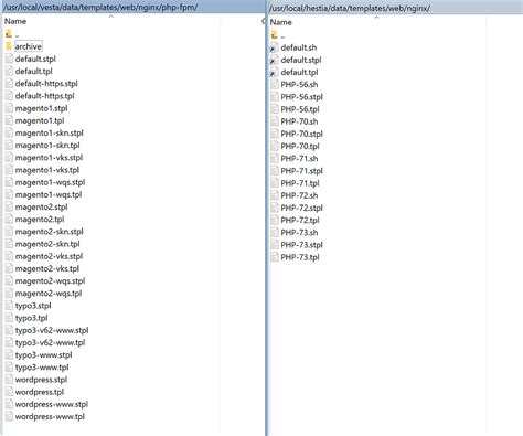 Using Nginx Templates Together With Multiphp Web Hestia Control