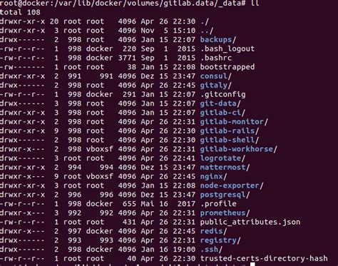restart gitlab with docker get permission denied how to use gitlab gitlab forum