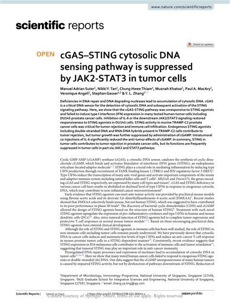 Pdf Cgas Sting Cytosolic Dna Sensing Pathway Is Suppressed By Jak2