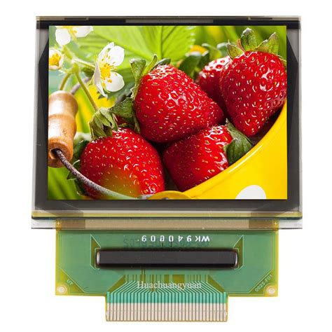 Multi Purpose 169 Inch Color Oled Display Module Seps525 Ic With 128x160 Resolution For
