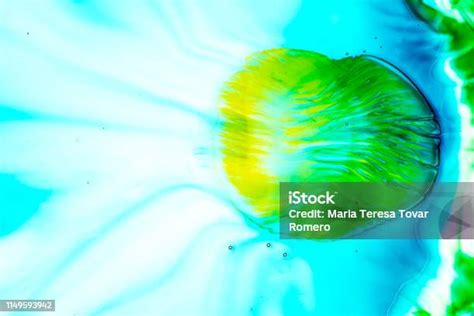 수채화 및 아크릴 추상입니다 화려한 배경입니다 믹스 밝아진 및 색상의 그림 파란색 청록색 녹색 노란색 갈색 흰색 배경 0명에 대한 스톡 사진 및 기타 이미지 Istock