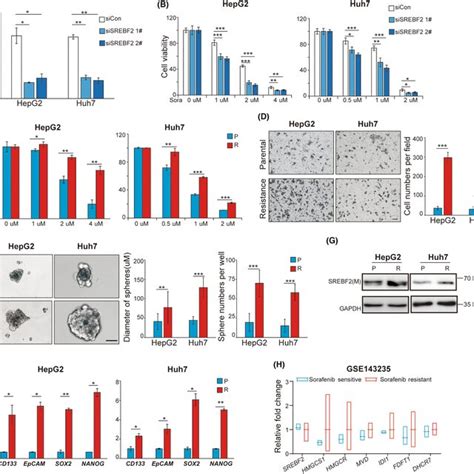 Overview Of The Rna Seq Signatures Notes Hierarchical Clustering