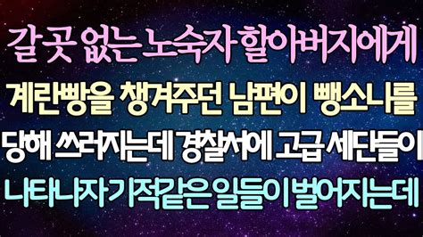 반전 사연 갈 곳 없는 노숙자 할아버지에게 계란빵을 챙겨주던 남편이 뺑소니를 당해 쓰러지는데 경찰서에 고급 세단들이 나타나자 기적같은 일이 벌어졌습니다 사이다사연