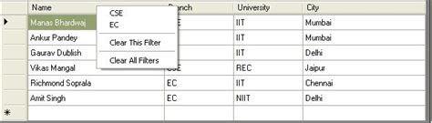 Datagridview With Filtering Capability Codeproject