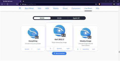 Creating An Encrypted Persistent Live Kali Usb Geeksforgeeks