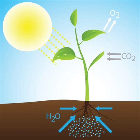 Ejemplos De Energia Quimica