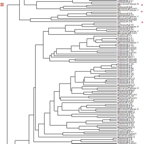 dendrogram of the unweighted pair group method with arithmetic mean