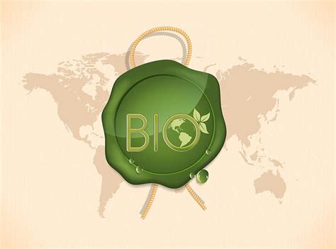 에코 친화적 인 디자인 벡터 Ai Eps Uidownload