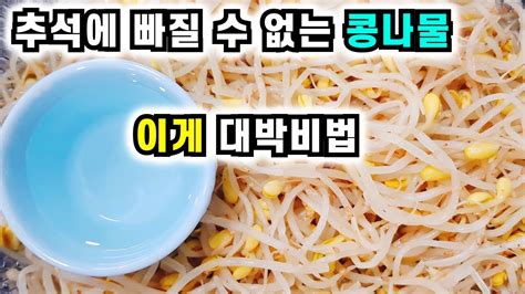 제발 콩나물 물에 삶지 말고 찬물에 헹구지 마세요 먹자마자 감탄하는 우리집 특급 콩나물요리 Youtube