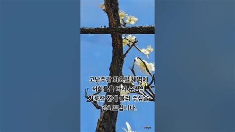 고난주간기도 고난주간 화요일 1분 기도문 Youtube