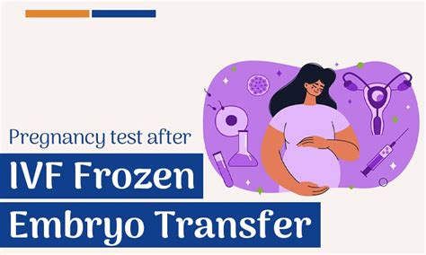 When To Do A Pregnancy Test After Ivf Frozen Embryo Transfer