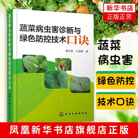 蔬菜病虫害诊断与绿色防控技术口诀科学施肥指导绿色无公害蔬菜种植技术书大棚蔬菜gaoxiao栽培图书棚室蔬菜病虫害诊断与防治虎窝淘